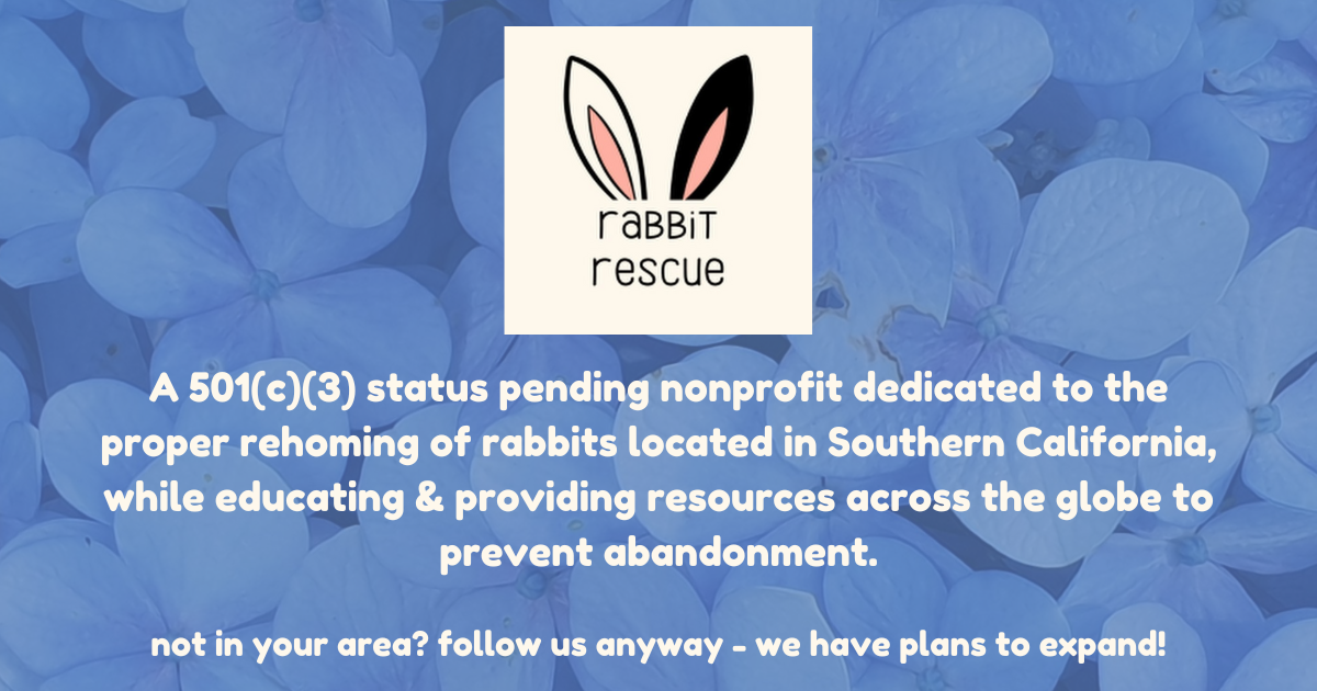 Home | Two Rabbit Rescue | 501(c)(3) Pending Animal Rescue & Nonprofit